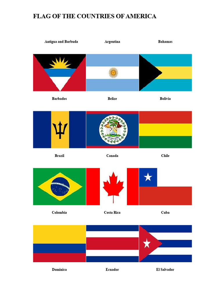 Flag of The Countries of America | PDF