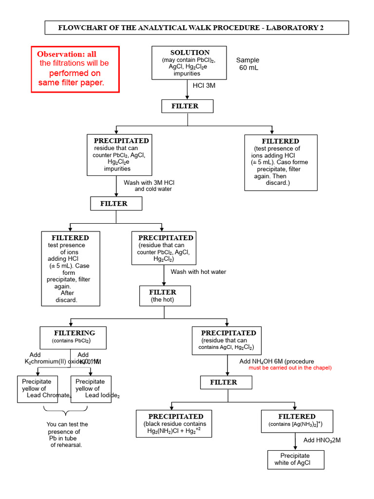 Flowchart - Analytical March | PDF | Precipitation (Chemistry ...