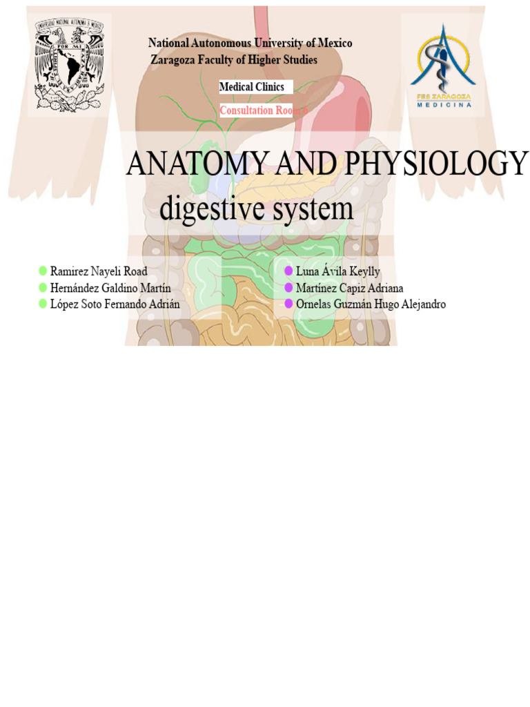 Anatomy and Physiology of the Digestive System | PDF | Stomach | Esophagus