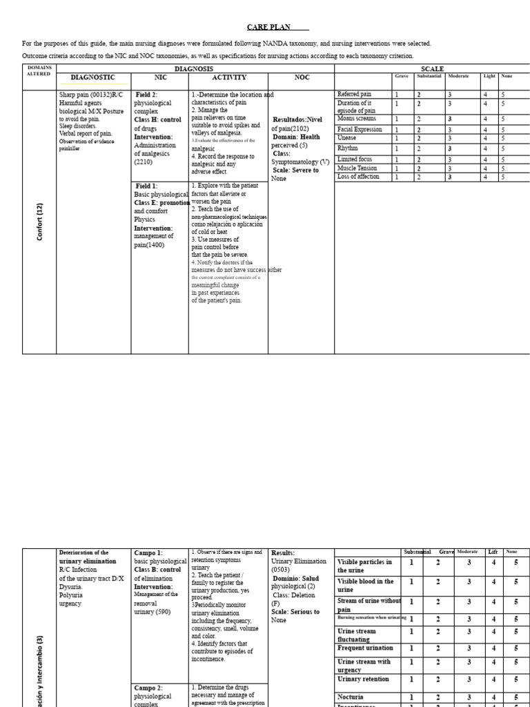 Nursing Process Matrix | PDF | Dehydration | Urinary Incontinence