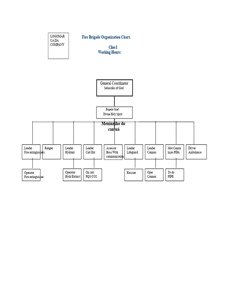 003 - Fire Brigade Organizational Chart | PDF