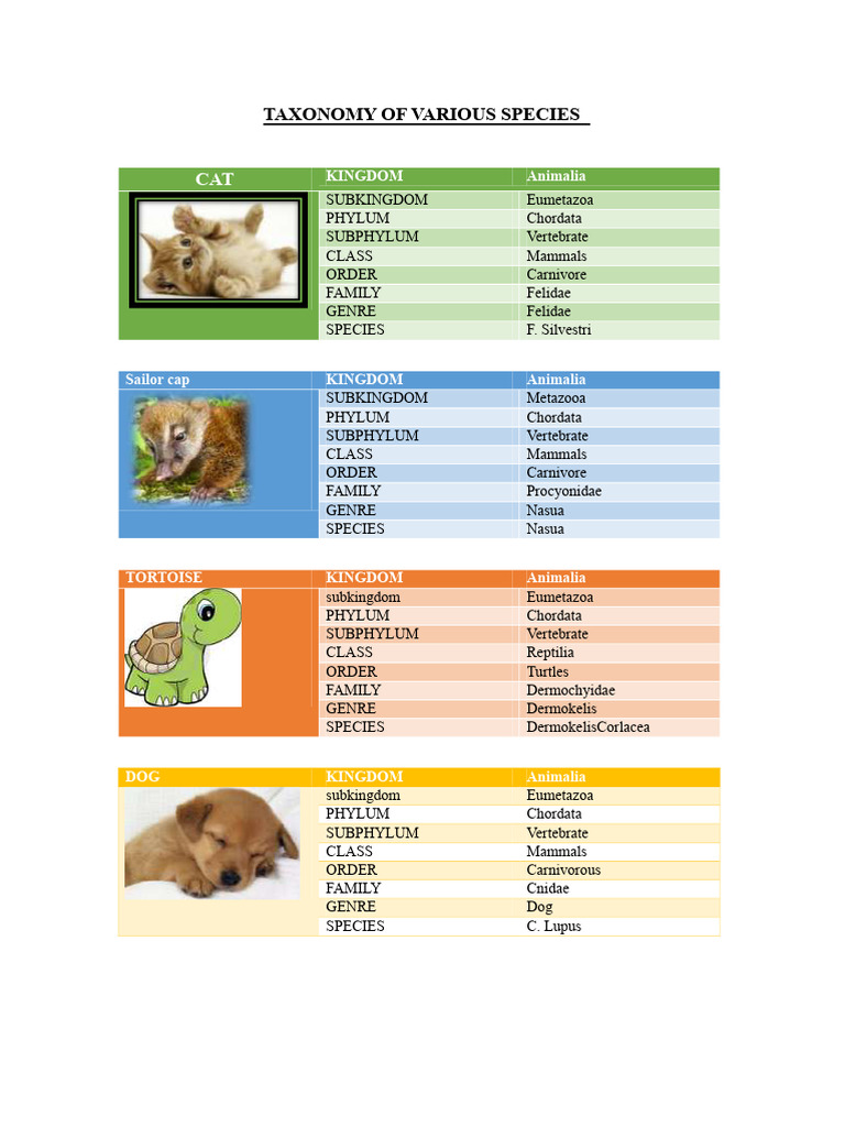 Taxonomy of Various Species | PDF | Felidae | Vertebrates