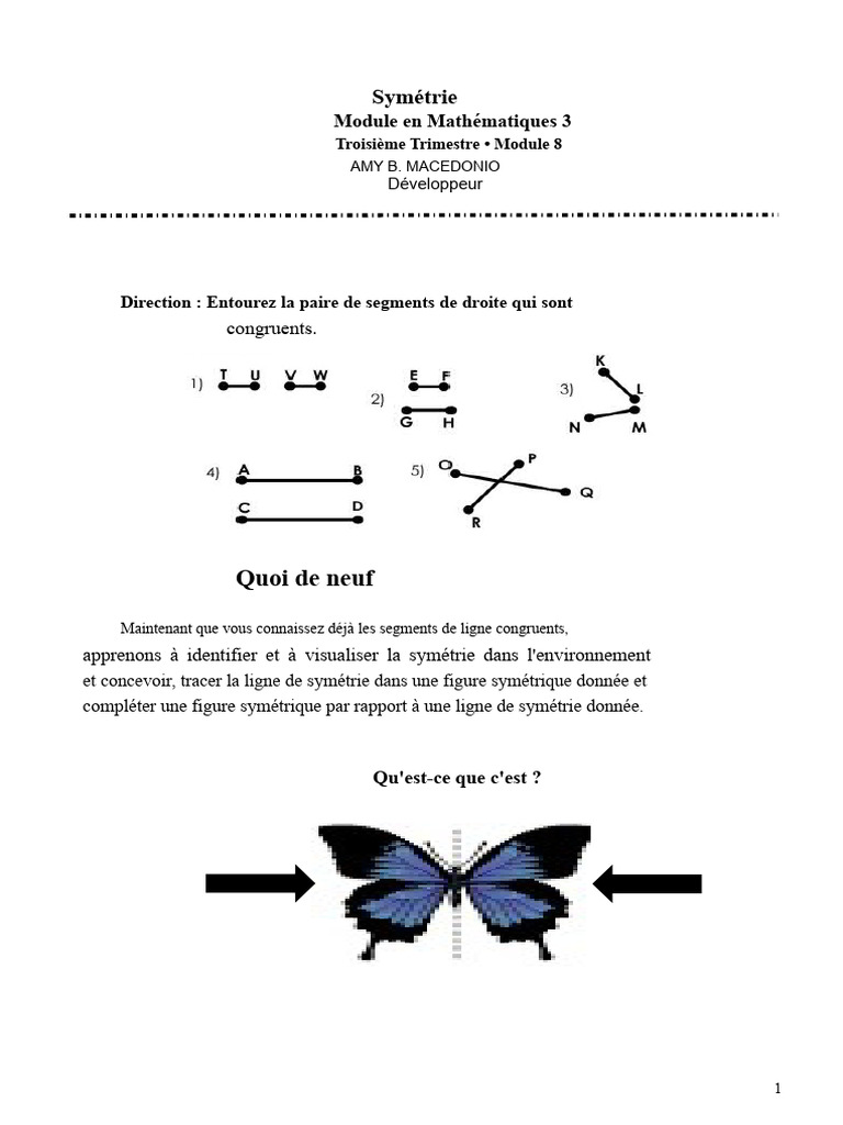 Comprendre la symétrie en mathématiques | PDF