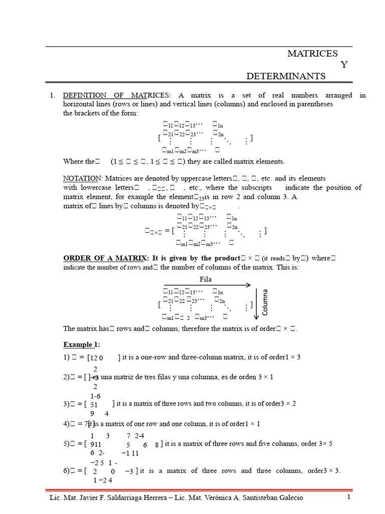 Matrices and Determinants | PDF | Matrix (Mathematics) | Determinant