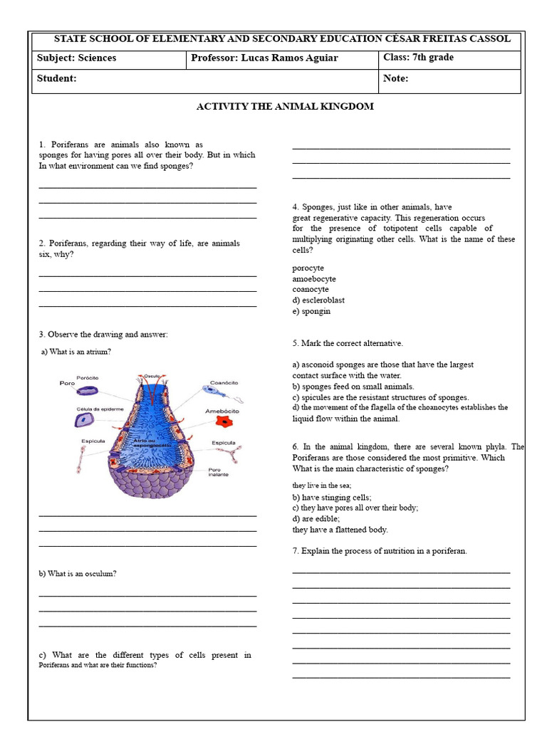 Activity About Poriferans and Cnidarians. | PDF | Sponge | Venomous Animals