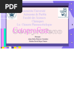 Prokefen : Indications et Posologie | PDF | Pharmacie | Traitements ...