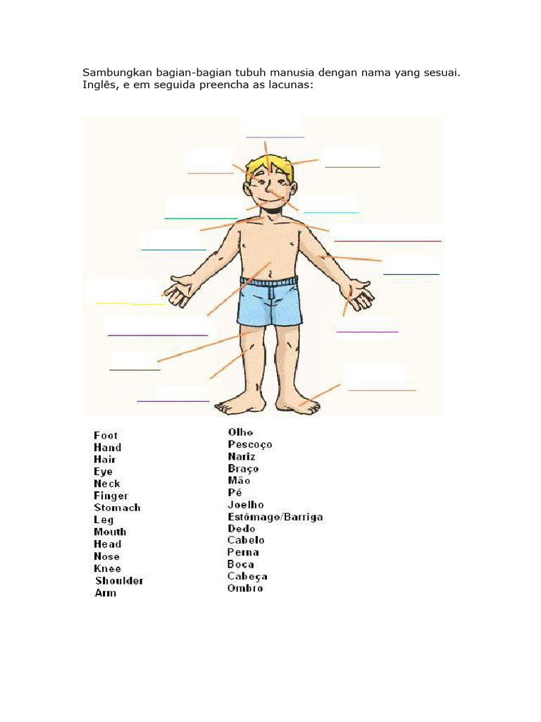 Sambungkan Bagian-Bagian Tubuh Manusia Dengan Nama Yang Sesuai Dalam ...