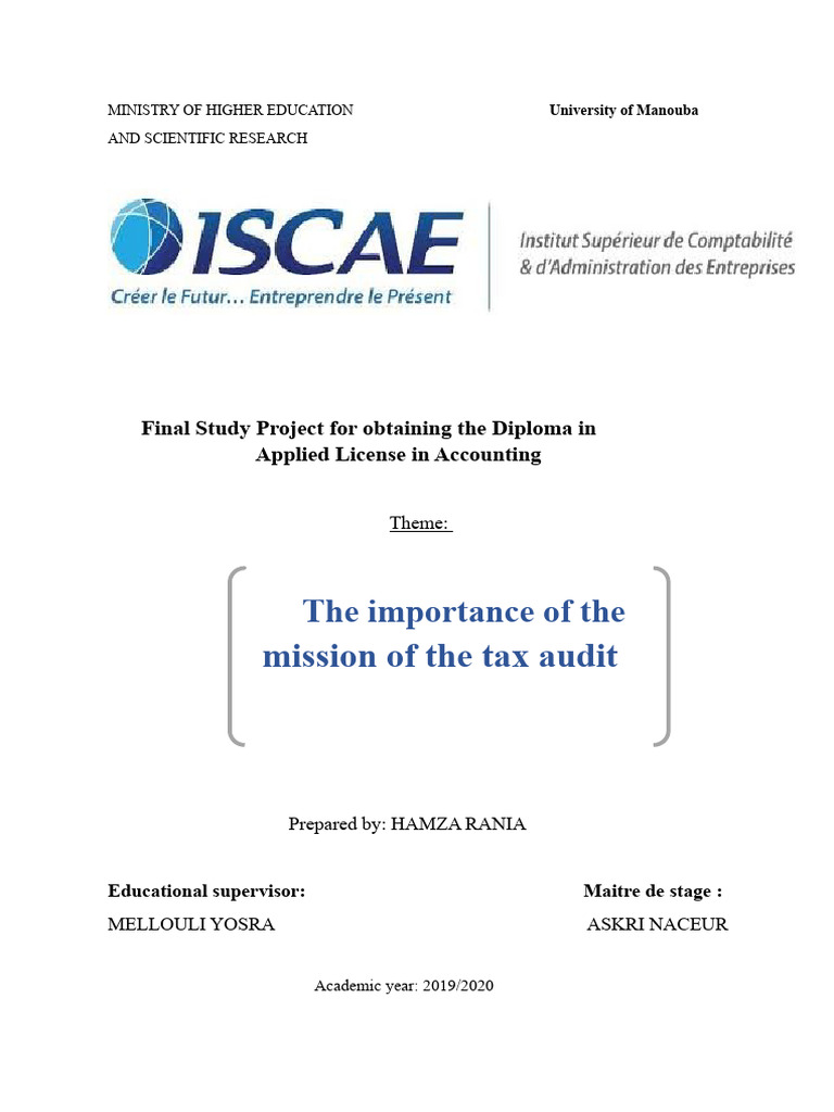 Report Pfe Version4 | PDF | Audit | Taxes