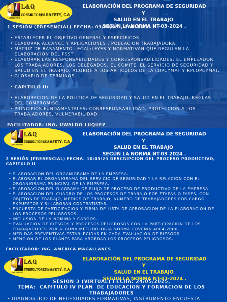 Elaboración Del Programa de Seguridad y Salud en El Trabajo Según La ...