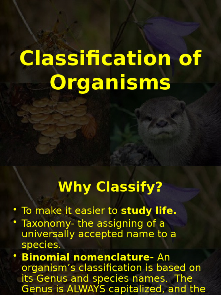 Organism Classification Overview | PDF | Life Sciences | Microorganism