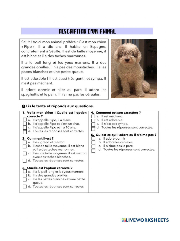 Decrire Un Animal | PDF