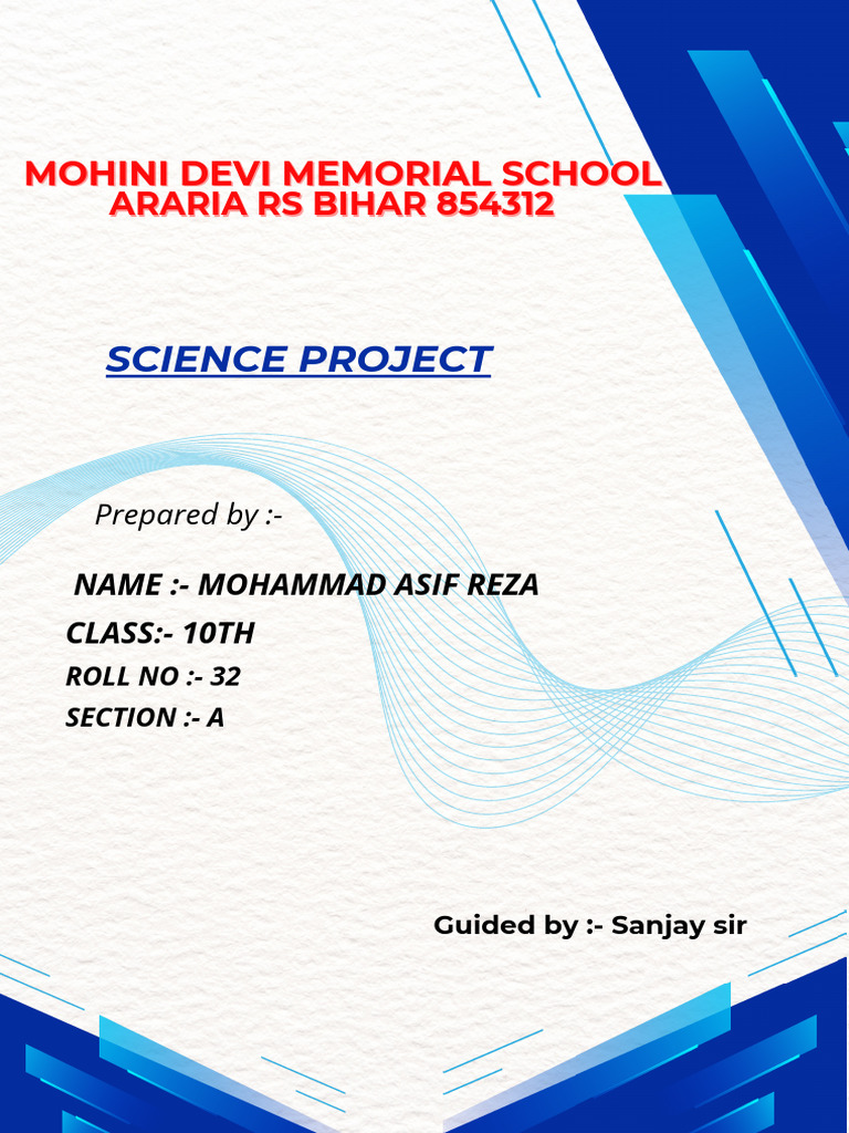10th Grade Science Project Overview | PDF