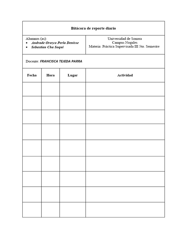 Bitácora De Reporte Diario Pdf