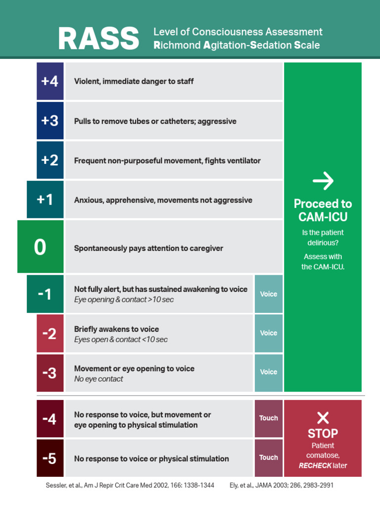 RASS and CAM-ICU Assessment Guide | PDF
