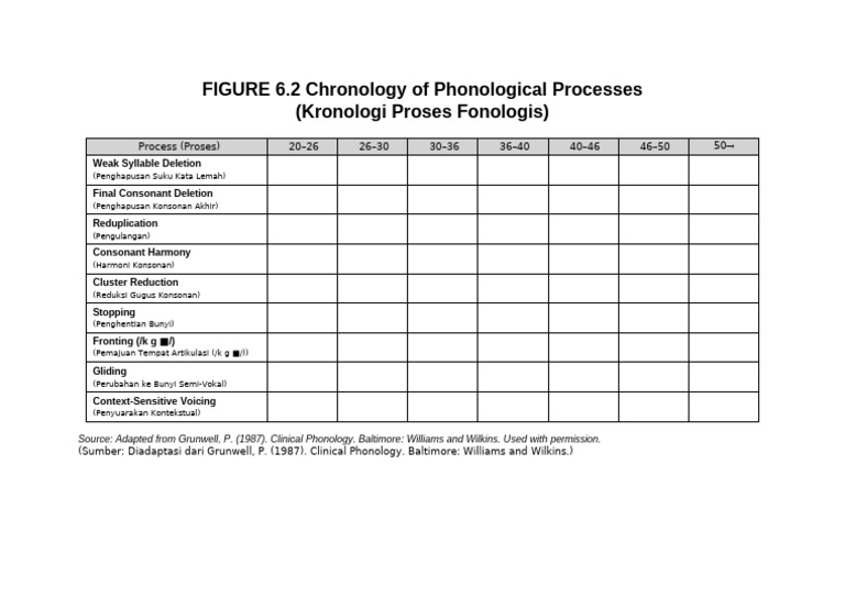 Phonological Processes Overview | PDF