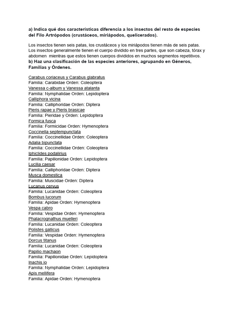 Características y Clasificación de Insectos | PDF