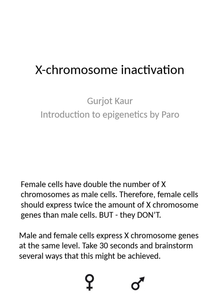 X-Chromosome Inactivation Explained | PDF | Chromatin | Genetics