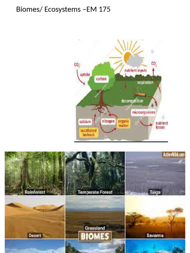 Understanding Biomes and Ecosystems | PDF