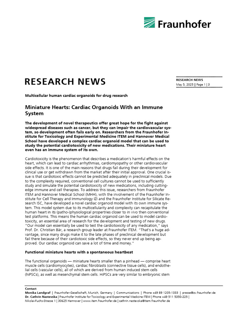 Item Miniature Hearts Cardiac Organoids With An Immune System | PDF ...