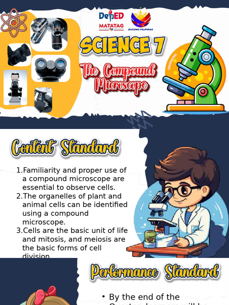 Understanding Compound Microscopes | PDF | Microscope | Optics