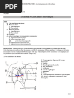 Anatomie et Segmentation des Poumons | PDF | Poumon | Thorax
