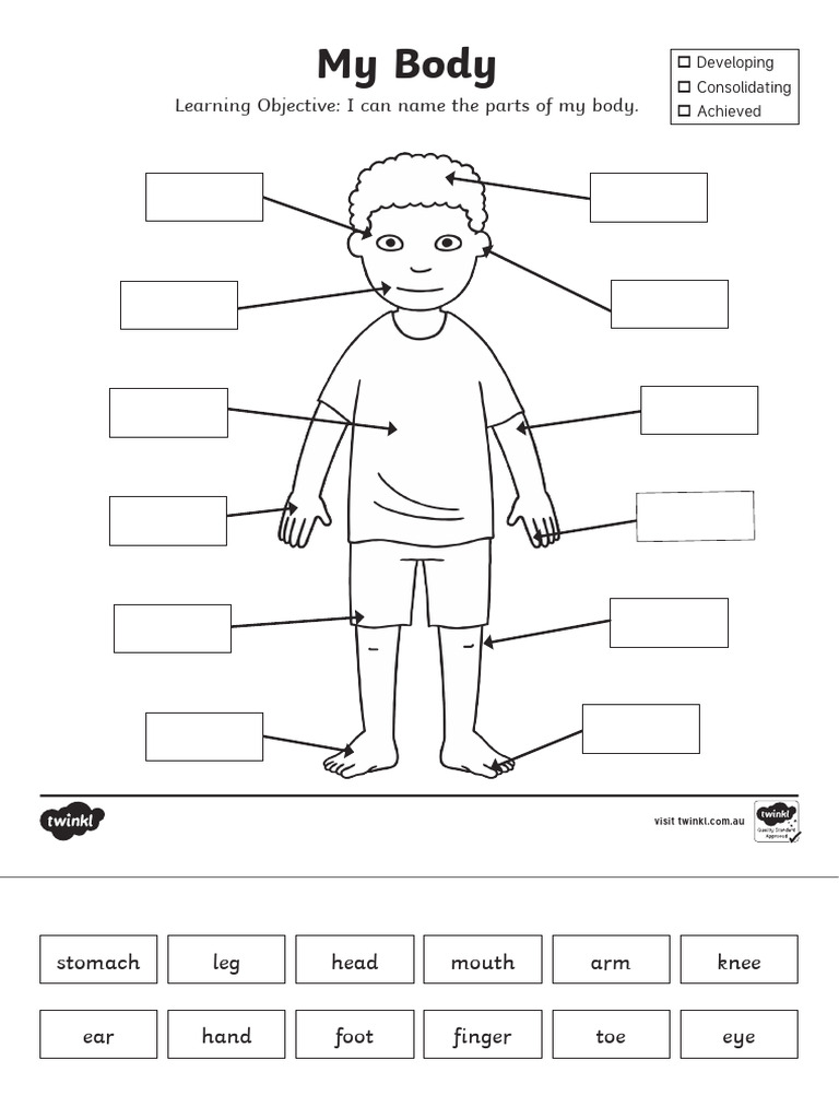 Au T 10000354 I Can Label My Body Cut and Paste Activity Sheet English ...
