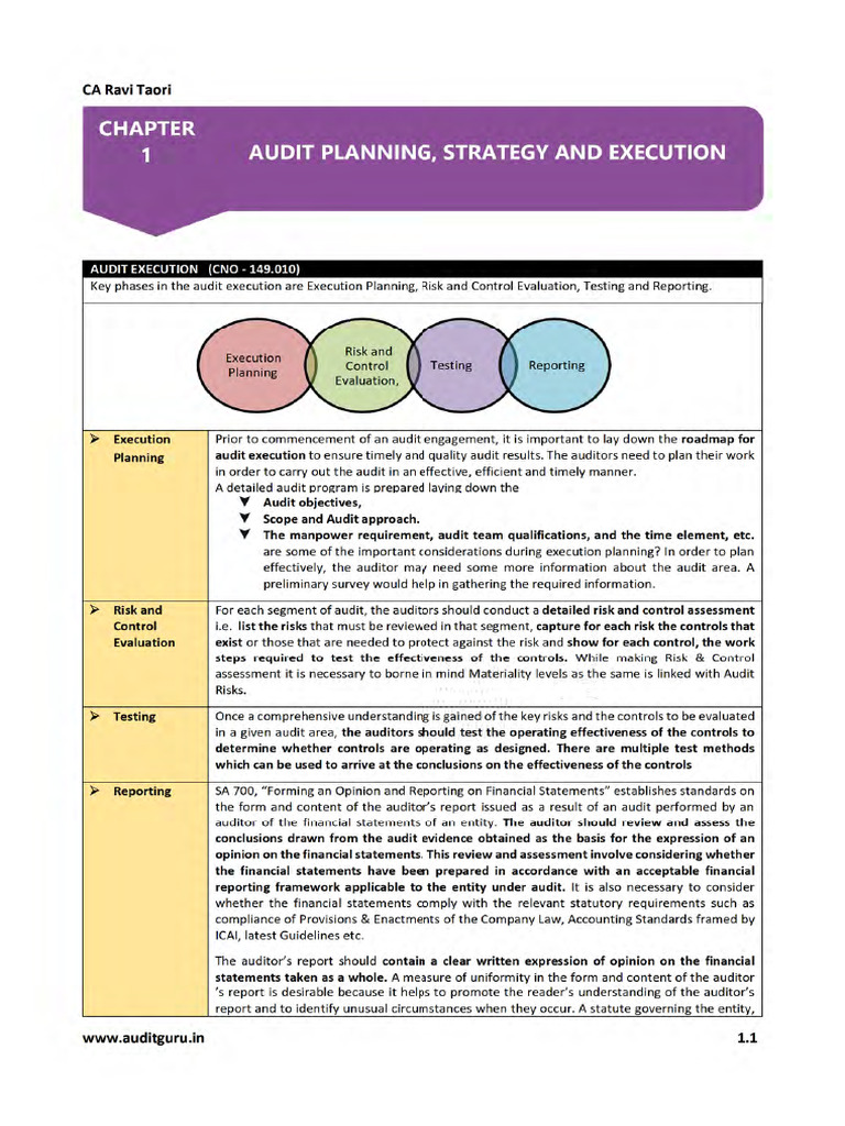 Chapter 1 Audit Planning Strategy and Execution | PDF