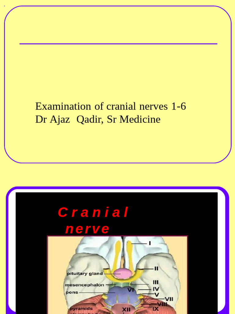 Cranial Nerve Examination Converted Part 1 | PDF | Visual System ...