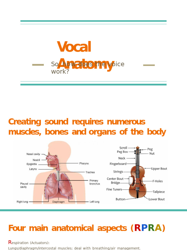 Understanding Vocal Anatomy and Technique | PDF | Singing | Breathing