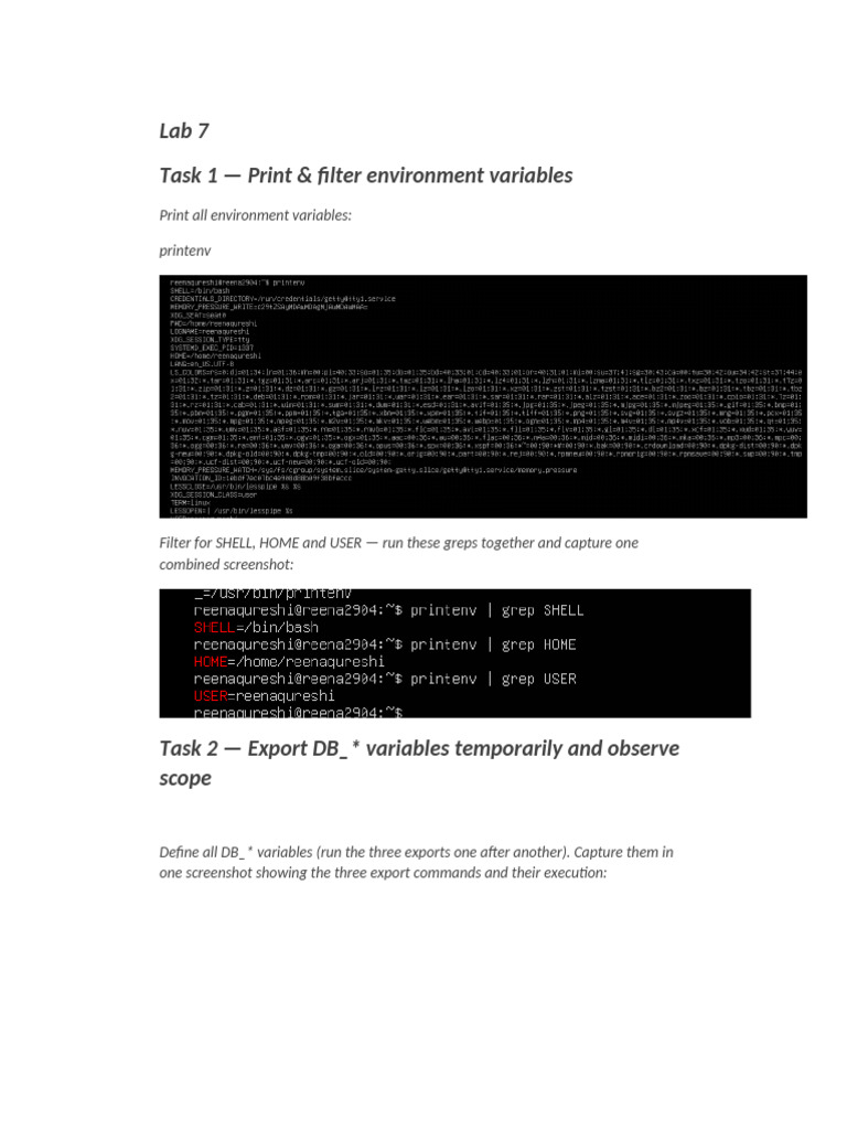 Task 1 | PDF | Secure Shell | Software Engineering