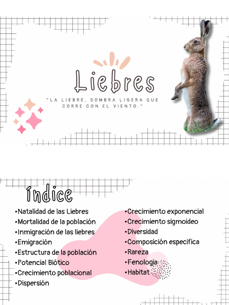 Liebres | PDF