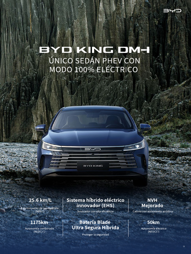 Byd King Flyer Es MX 20250718 | PDF