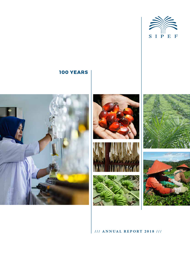 SIPEF 2018 Annual Report Overview | PDF | Palm Oil | Indonesian Rupiah