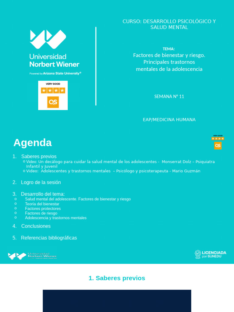 11+ +Factores+de+Bienestar+y+Riesgo.+Principales+Trastornos+Mentales+de ...