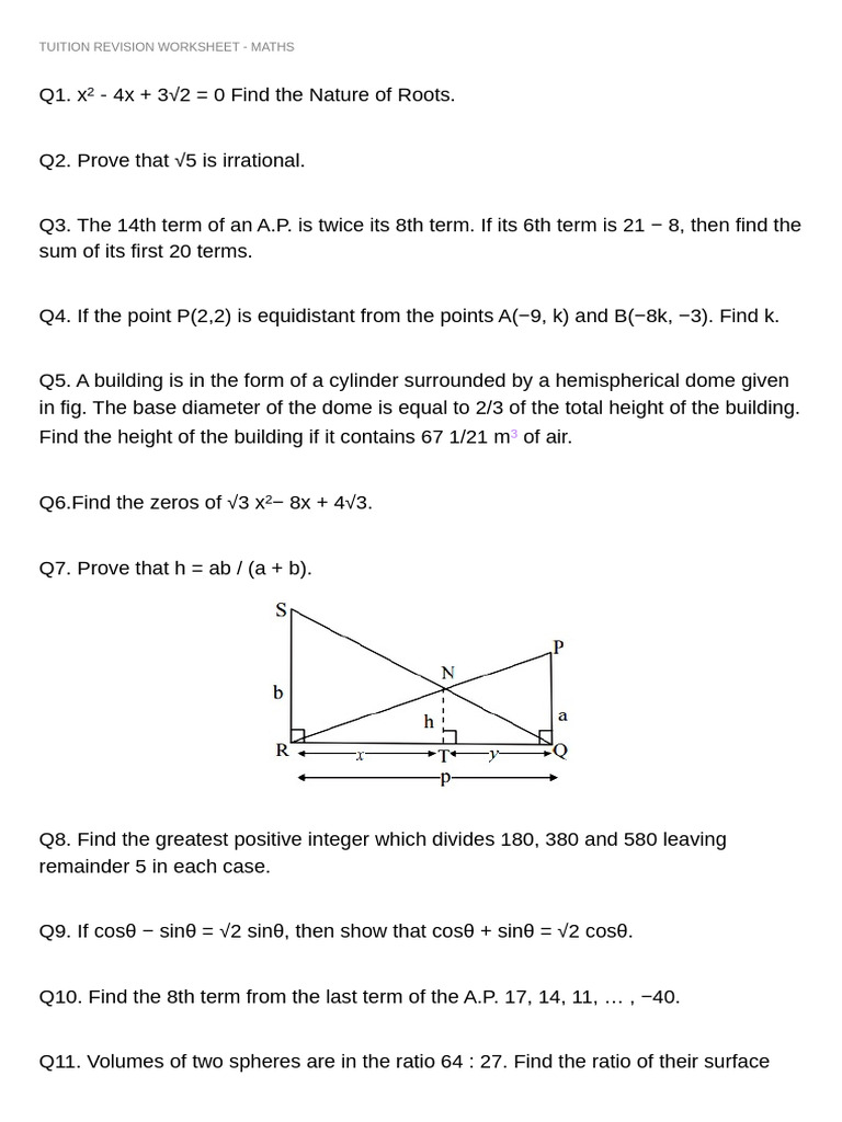 Revision Worksheet | PDF