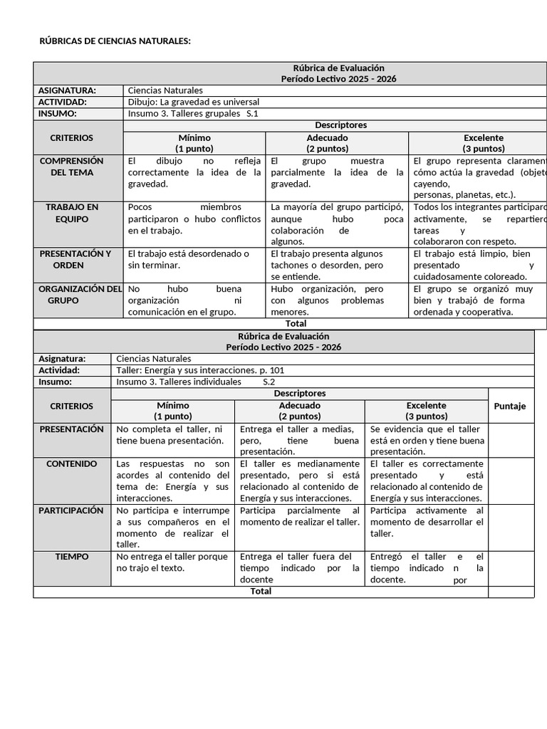 Rúbricas de Ciencias Naturales | PDF