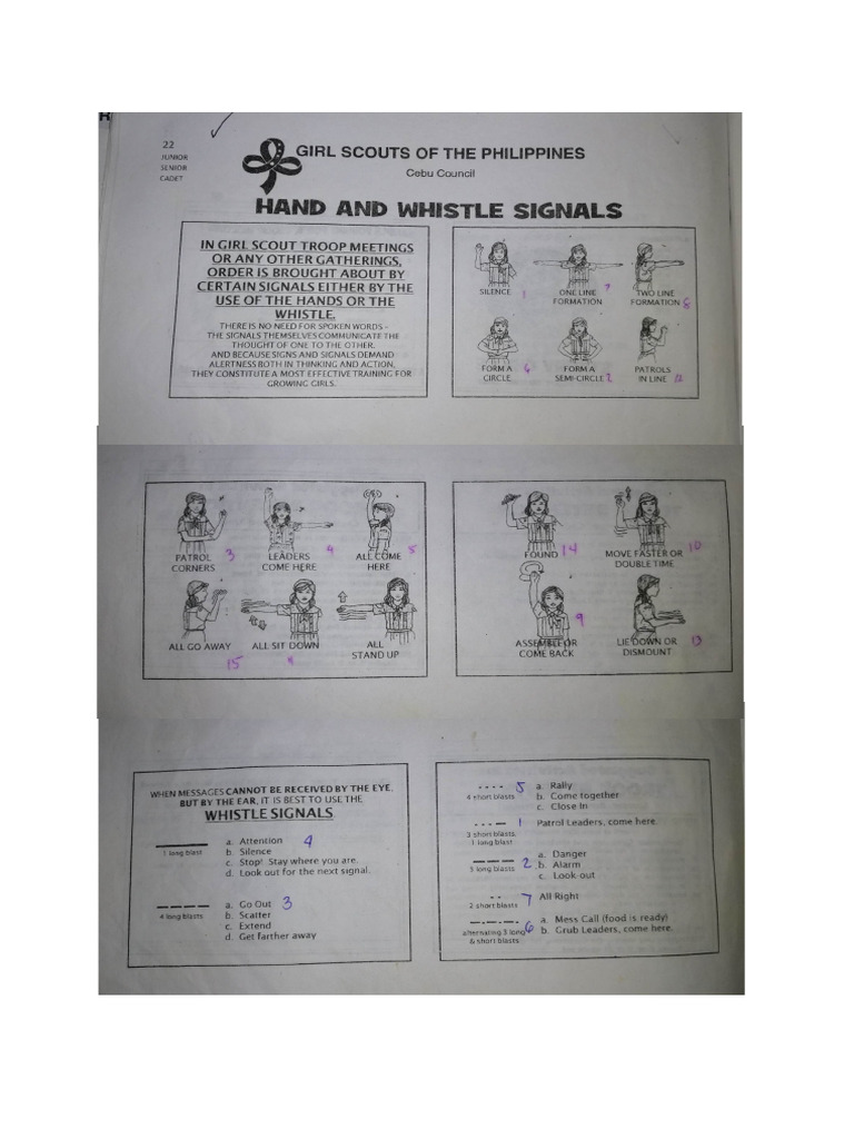 Hand and Whistle Signal | PDF
