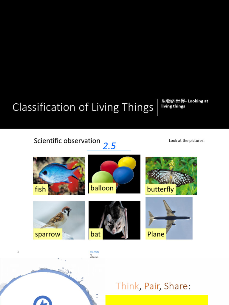 02 Chapter 2 Review | PDF