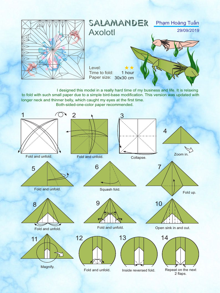 Salamander Origami Instructions | PDF