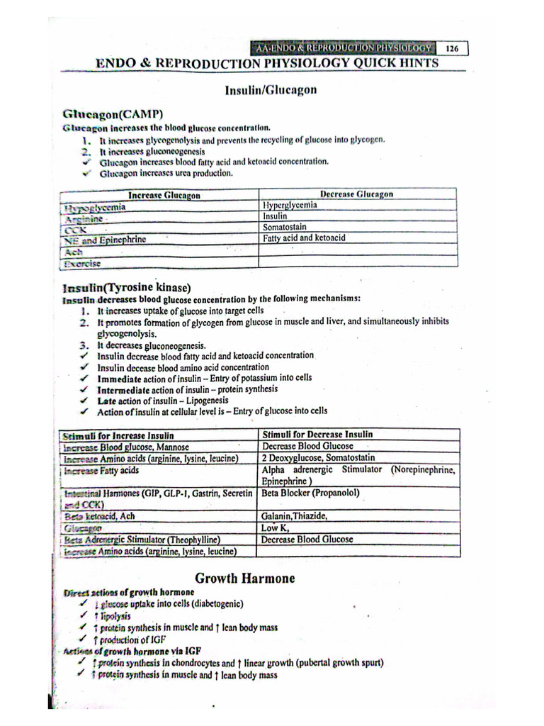 Endocrine & Reproductive Physiology Insights | PDF | Insulin | Bone