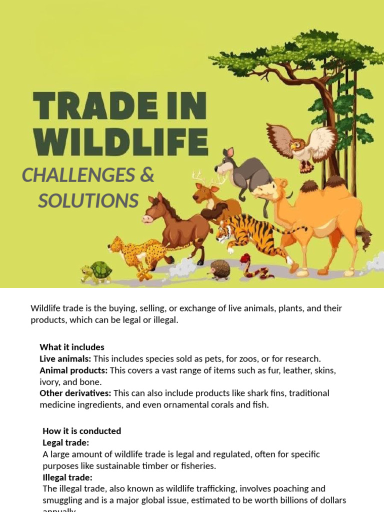 Wildlife Trade: Challenges & Solutions | PDF | Natural Environment ...
