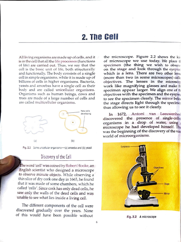 Cell | PDF | Cell (Biology) | Microscope