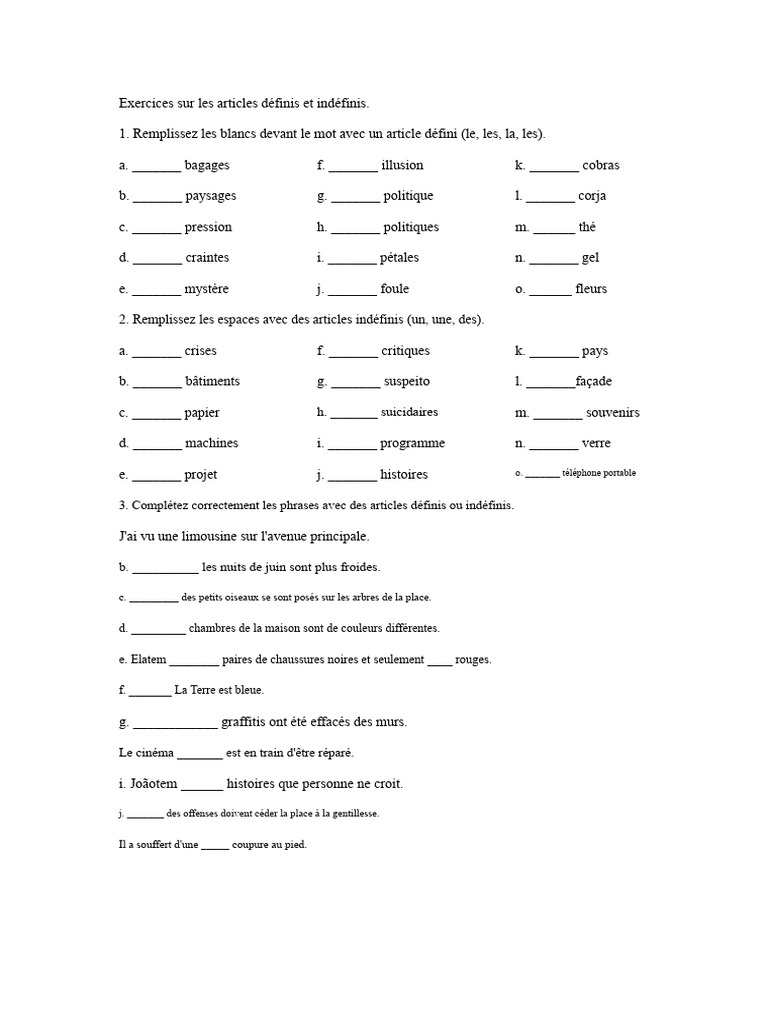 Exercices Sur Les Articles Définis Et Indéfinis | PDF