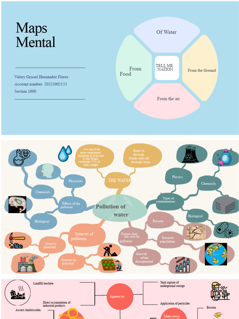Mind Maps of The Different Types of Pollution | PDF | Radiation ...