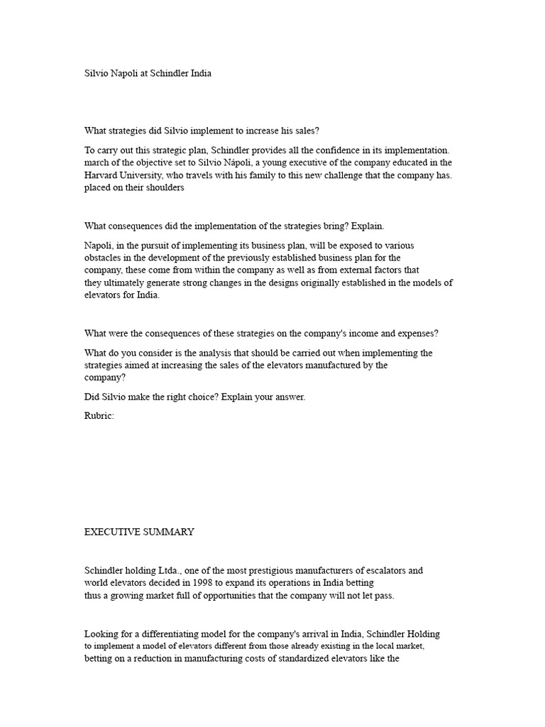 Silvio Napoli's Sales Strategies in India | PDF | Strategic Planning ...