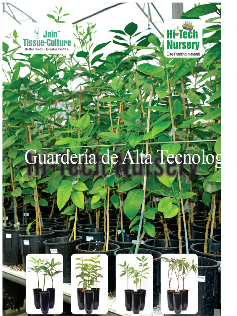 Detalles de Jain - Hi - Tech - Nursery | PDF | Agricultura | Horticultura