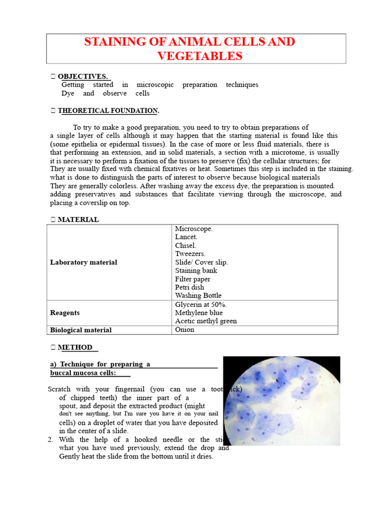 Staining Techniques for Animal and Plant Cells | PDF | Staining | Histology