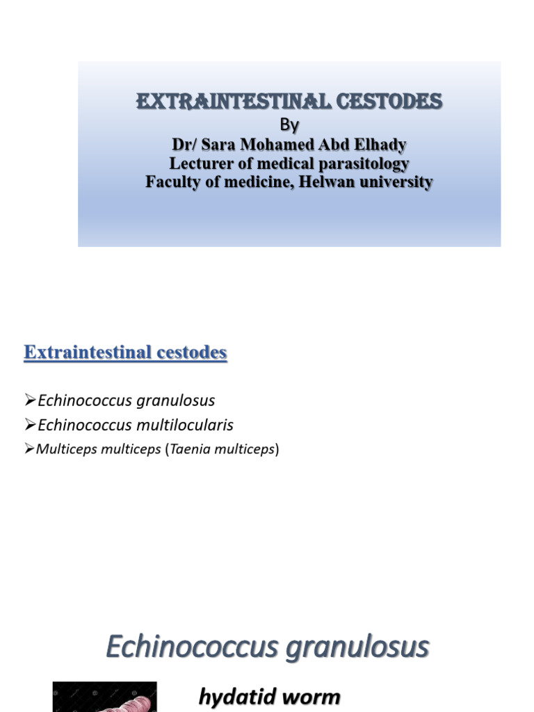 Extraintestinal Cestodes Overview | PDF | Clinical Medicine | Diseases ...