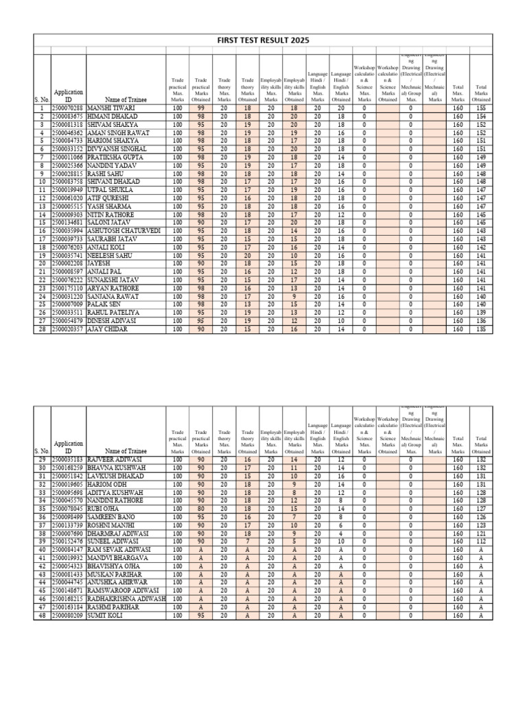 2025 Trainee Test Results Summary | PDF