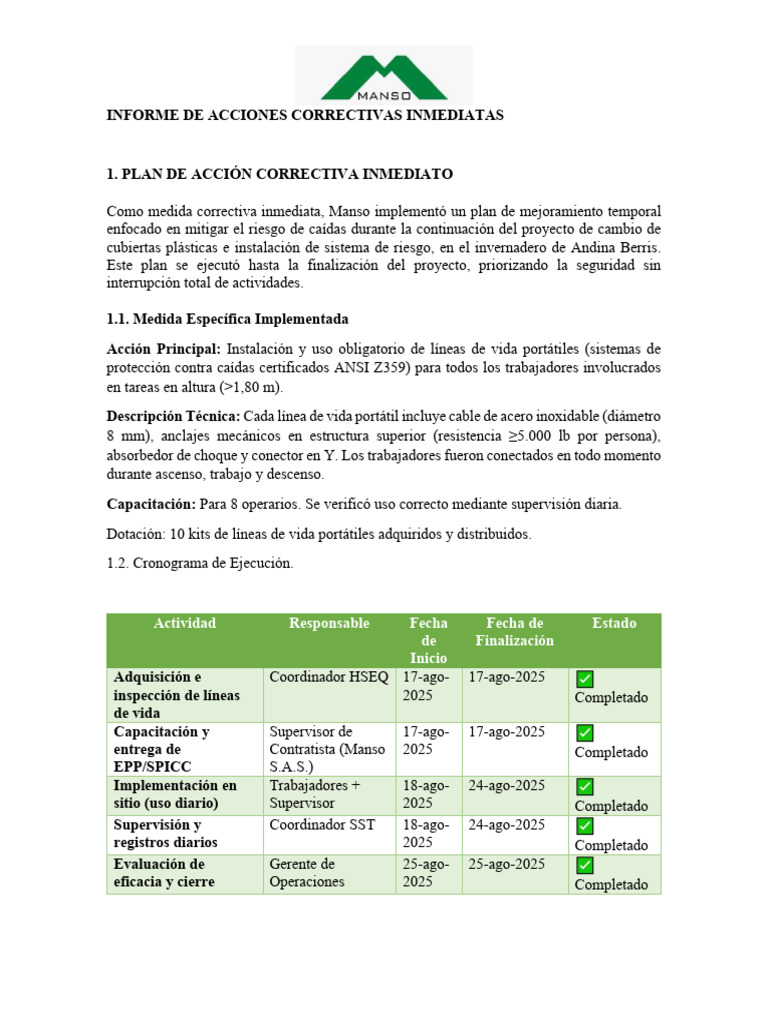 Informe de Acciones Correctivas Inmediatas | PDF